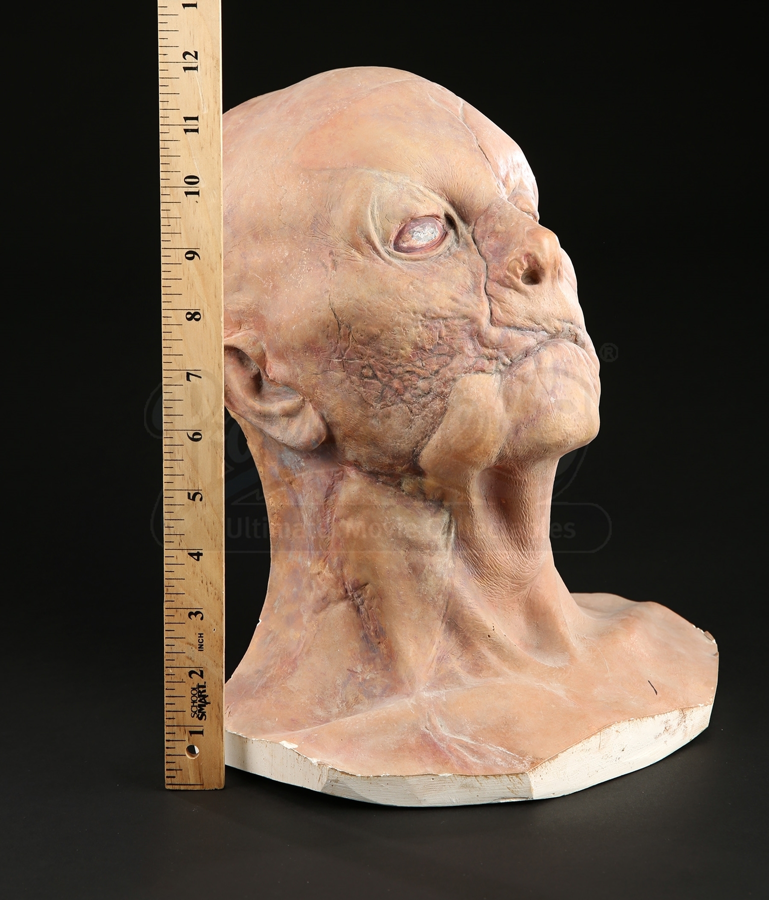 Mason Verger (Gary Oldman) Make-up Reference Bust | Propstore - Find ...