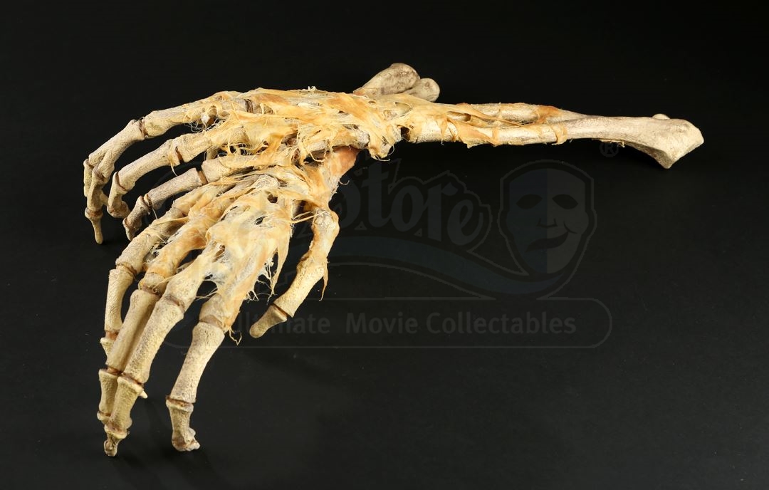 Propstore - Find Your Extraordinary