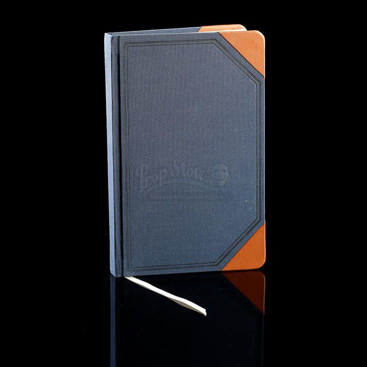 Noah Duke Calhouns (James Garner) Notebook | NOTEBOOK, THE (2004)