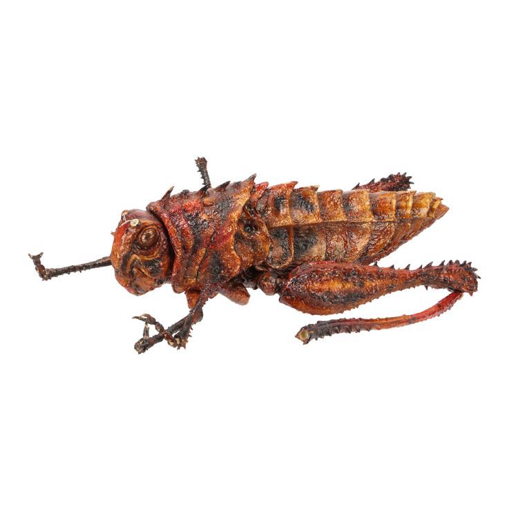 Lot # IT-178625 (LT-301816): JURASSIC WORLD DOMINION (2022) - Giant Locust