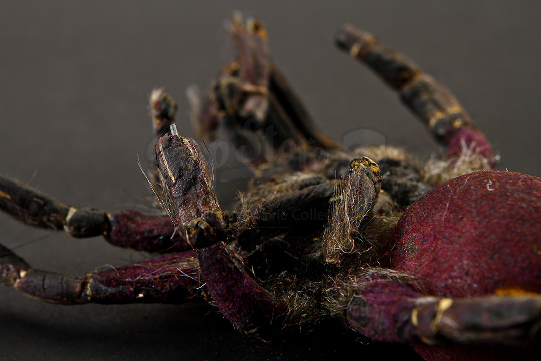 Propstore - Find Your Extraordinary