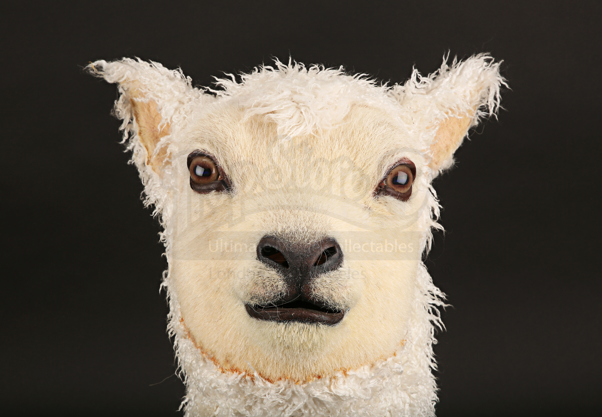 Propstore - Find Your Extraordinary