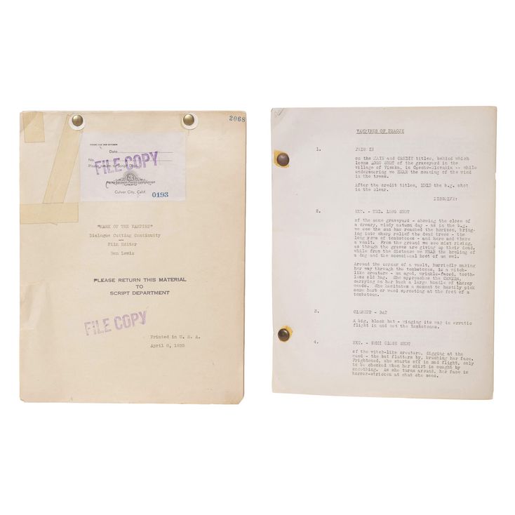 Lot 528 Script (106 Pages) Dialogue Continuity Script (53 Pages) (8.5 x ...