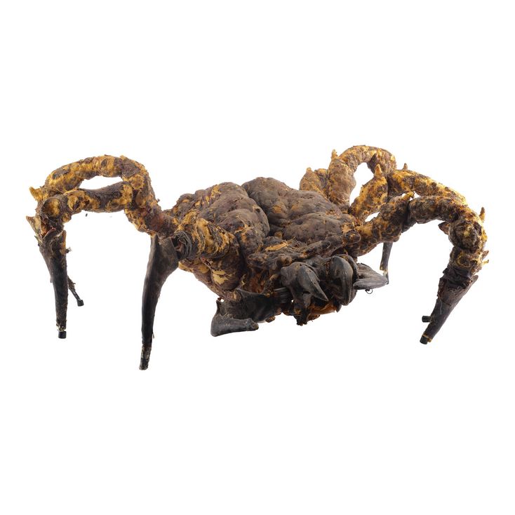 Lot # 1815: TICKS (1993) - Doug Beswick Collection: Full-Size Tick Puppet
