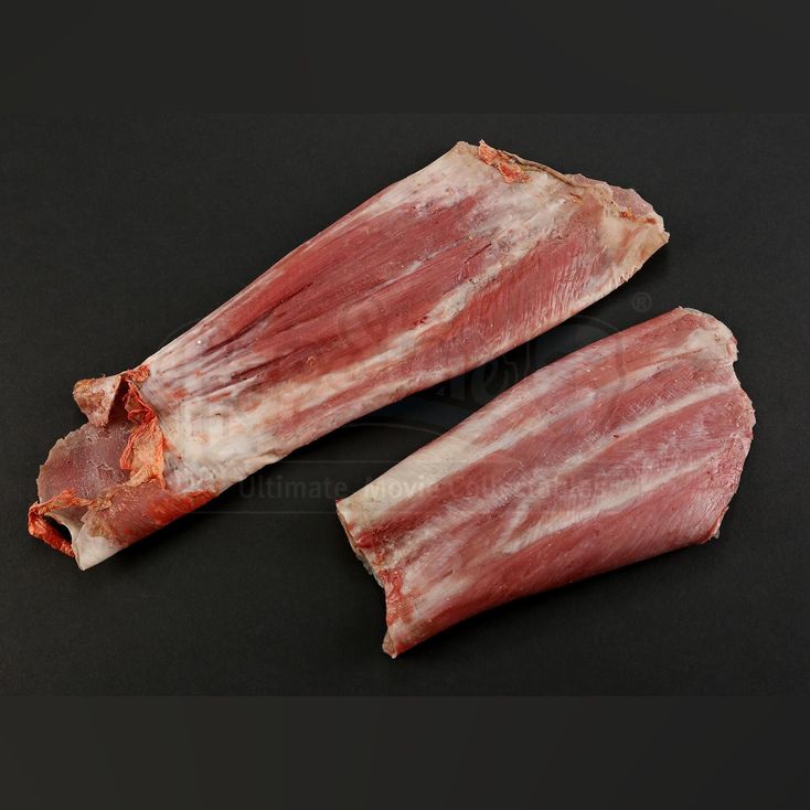 Georgia Madchens (Ellen Muth) Skinned Arm Sleeves | HANNIBAL (2013-2015)