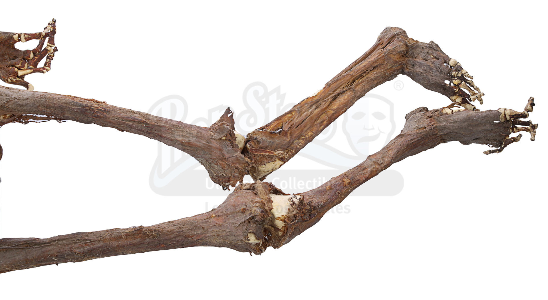 Propstore - Find Your Extraordinary