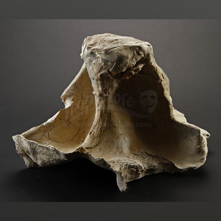 Large Krayt Dragon Skeleton Vertebrae | STAR WARS: A NEW HOPE (1977)