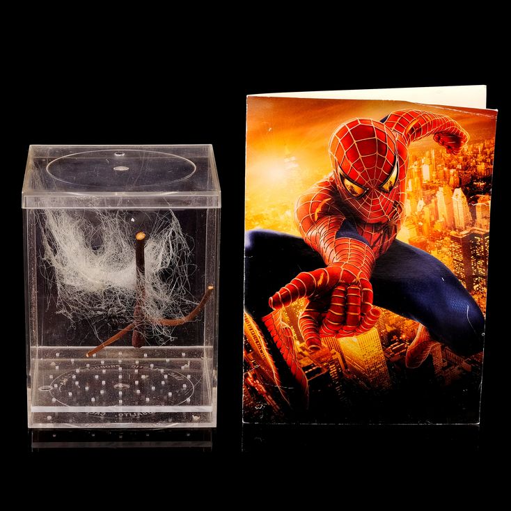 Lot #1185 - SPIDER-MAN (2002) / SPIDER-MAN 2 (2004) - Spider Box Prop ...