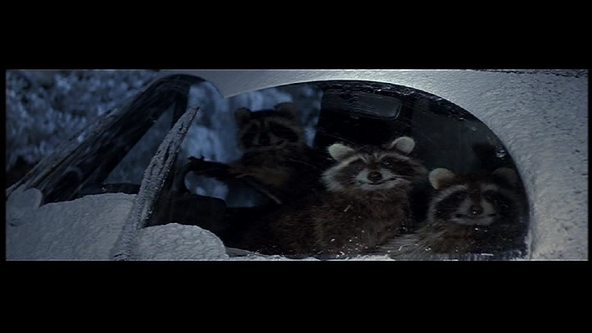 Propstore - Find Your Extraordinary