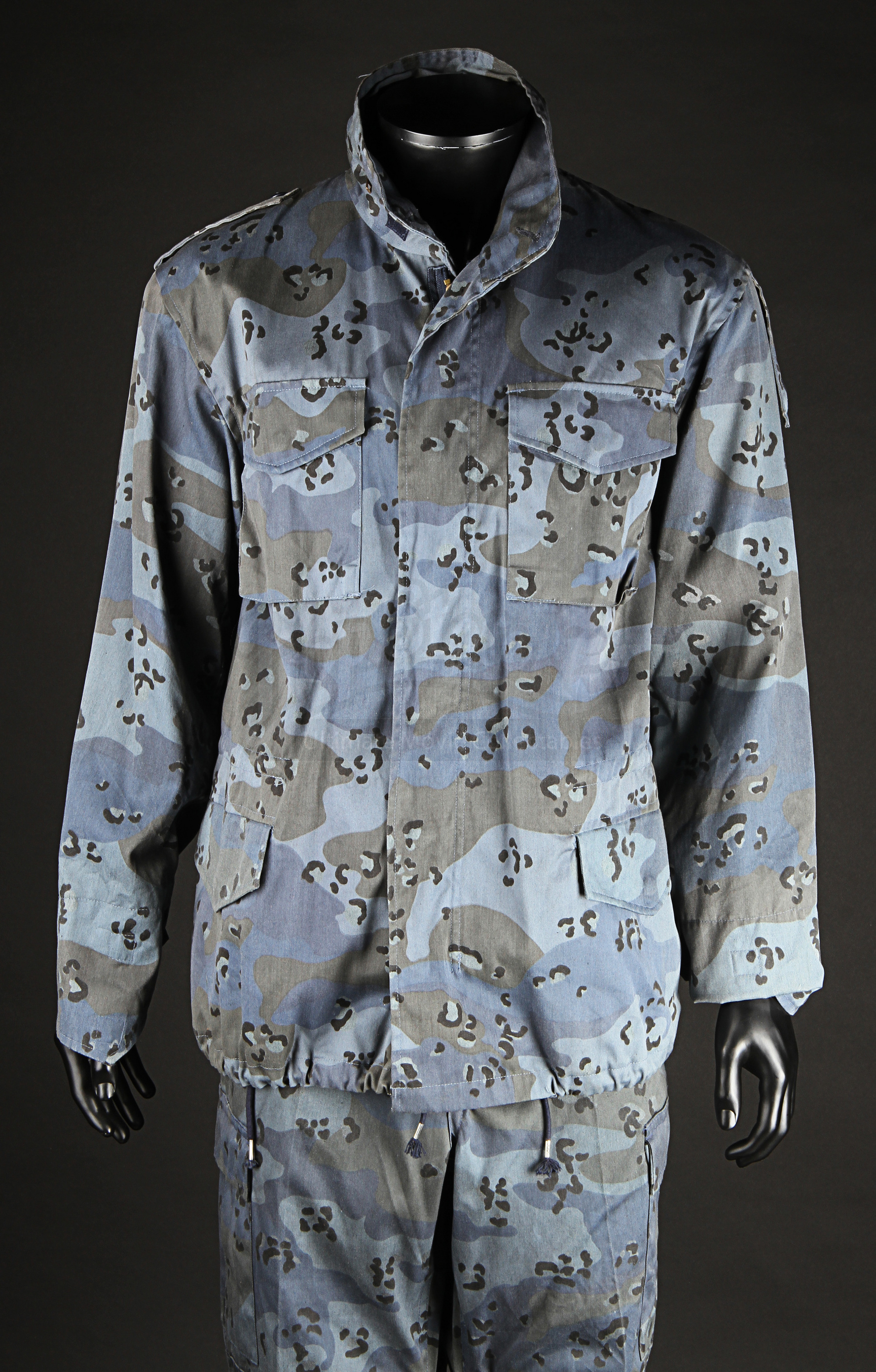 Blue Camouflage Costume | Prop Store - Ultimate Movie Collectables