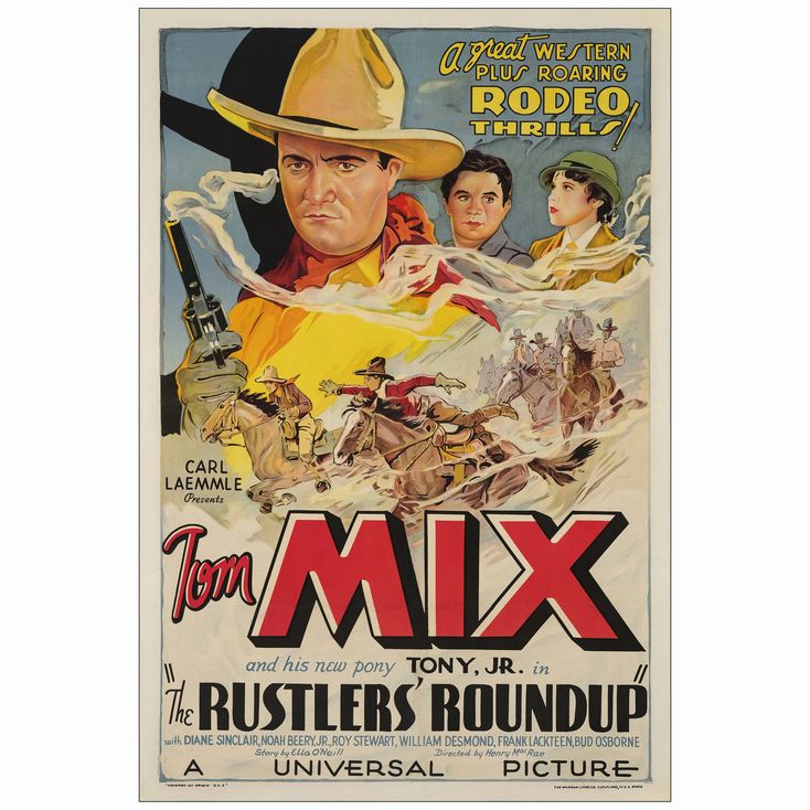 231: One Sheet (27 x 41 ); Very Fine- on Linen ### THE RUSTLERS ROUND UP (1933)