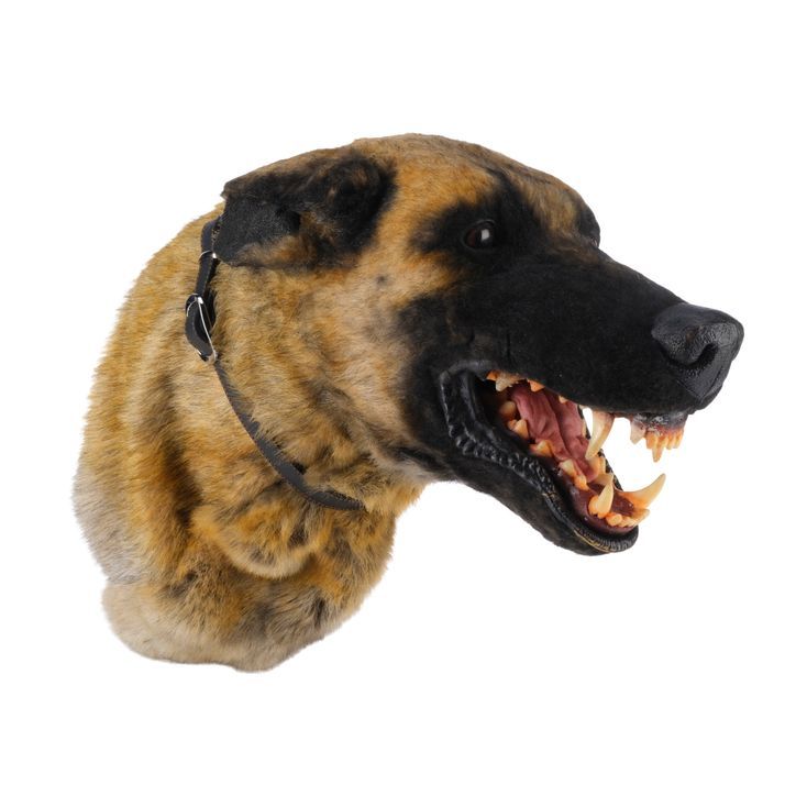 362. Mac Dog Attack Puppet Head ### PLAY DEAD (2021)