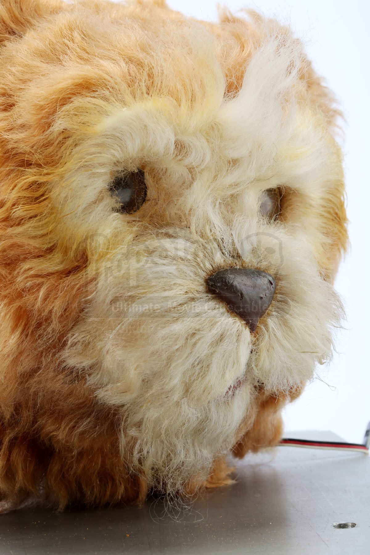 Propstore - Find Your Extraordinary