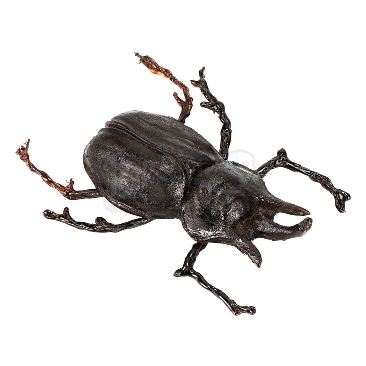 Banquet Beetle | INDIANA JONES AND THE TEMPLE OF DOOM (1984)