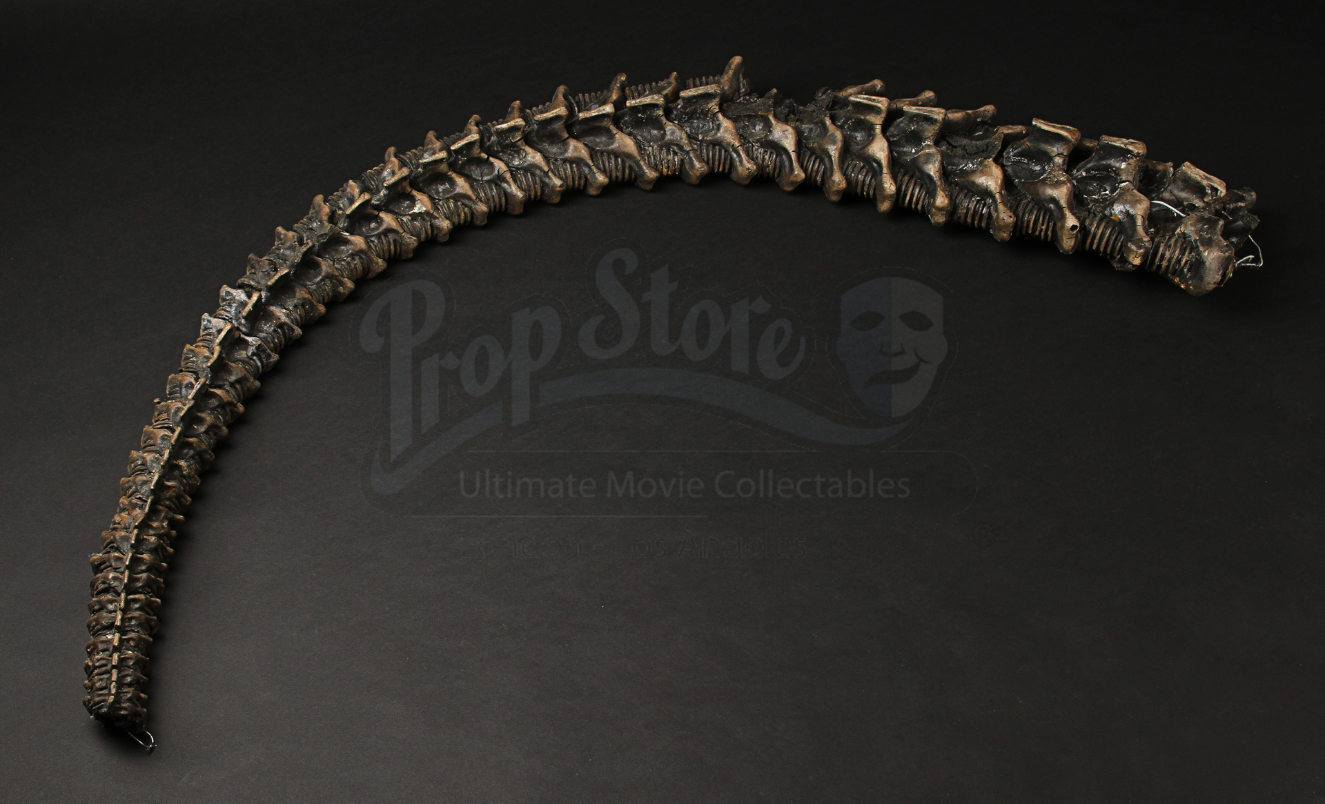 Xenomorph Creature Costume Tail | Prop Store - Ultimate Movie Collectables