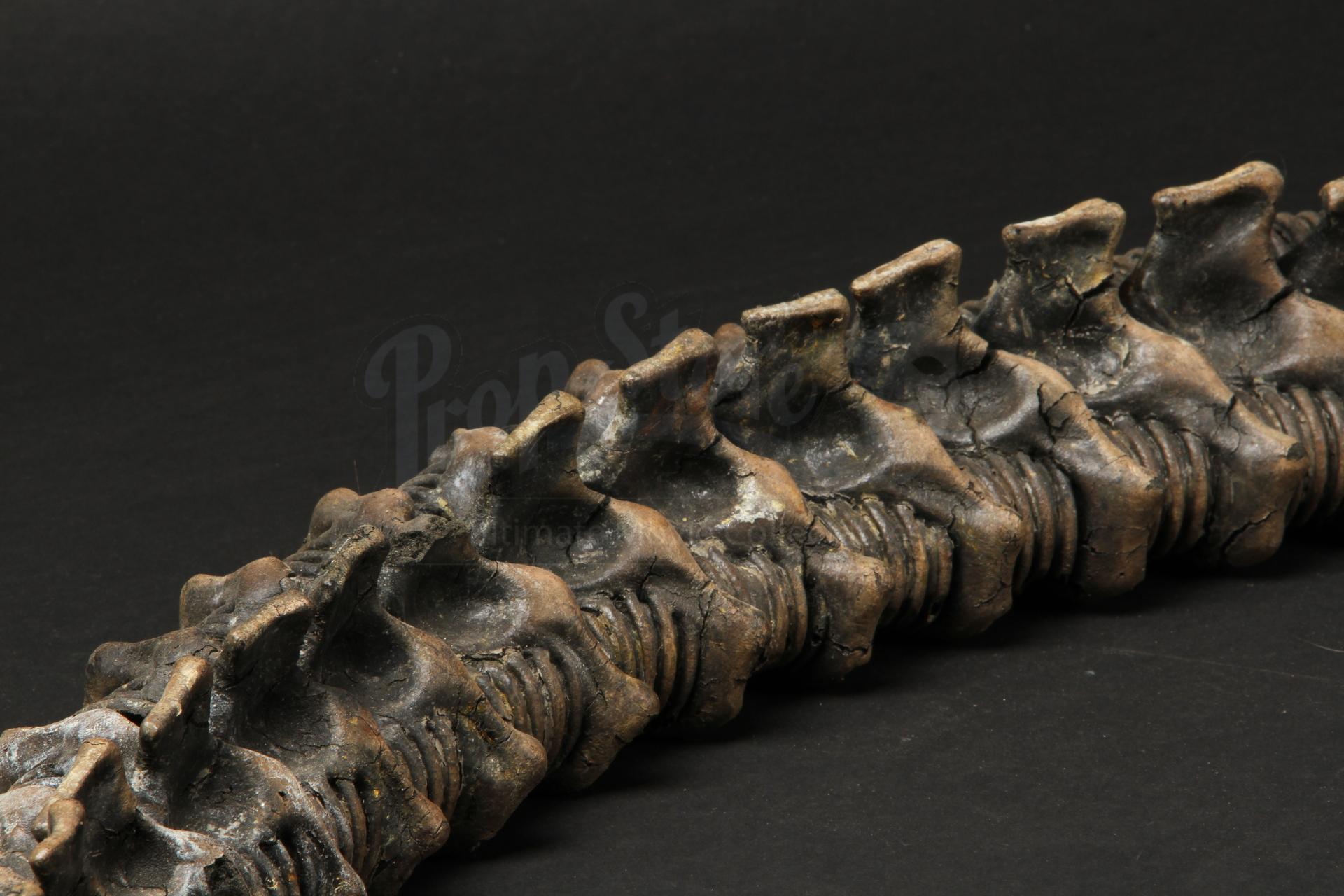 Xenomorph Creature Costume Tail | Prop Store - Ultimate Movie Collectables