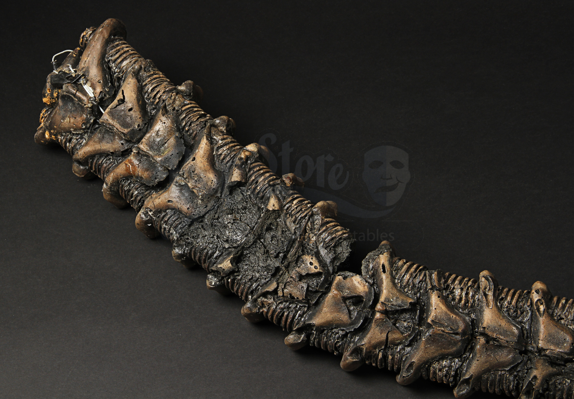 Xenomorph Creature Costume Tail | Prop Store - Ultimate Movie Collectables