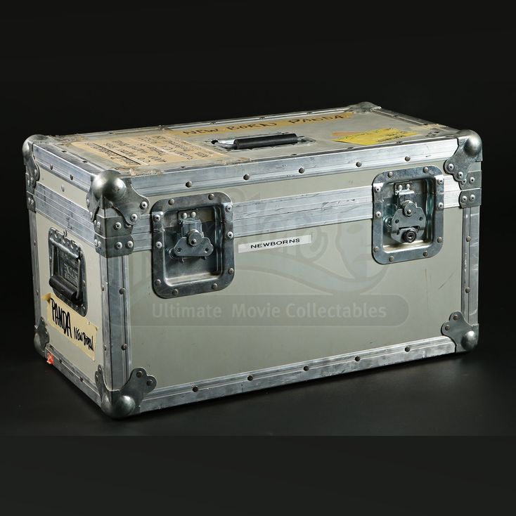 Custom Travel Case | AMAZING PANDA ADVENTURE, THE (1995)