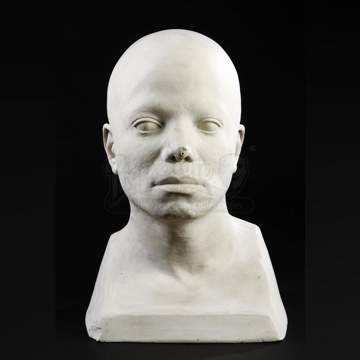 Lot 67 - Michael Jackson Complete Head Lifecast | MICHAEL JACKSON ...