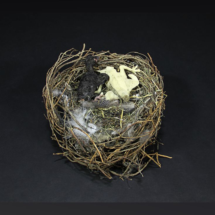 Eel Marsh House Fireplace Birds Nest (WIB007) | WOMAN IN BLACK, THE (2012)