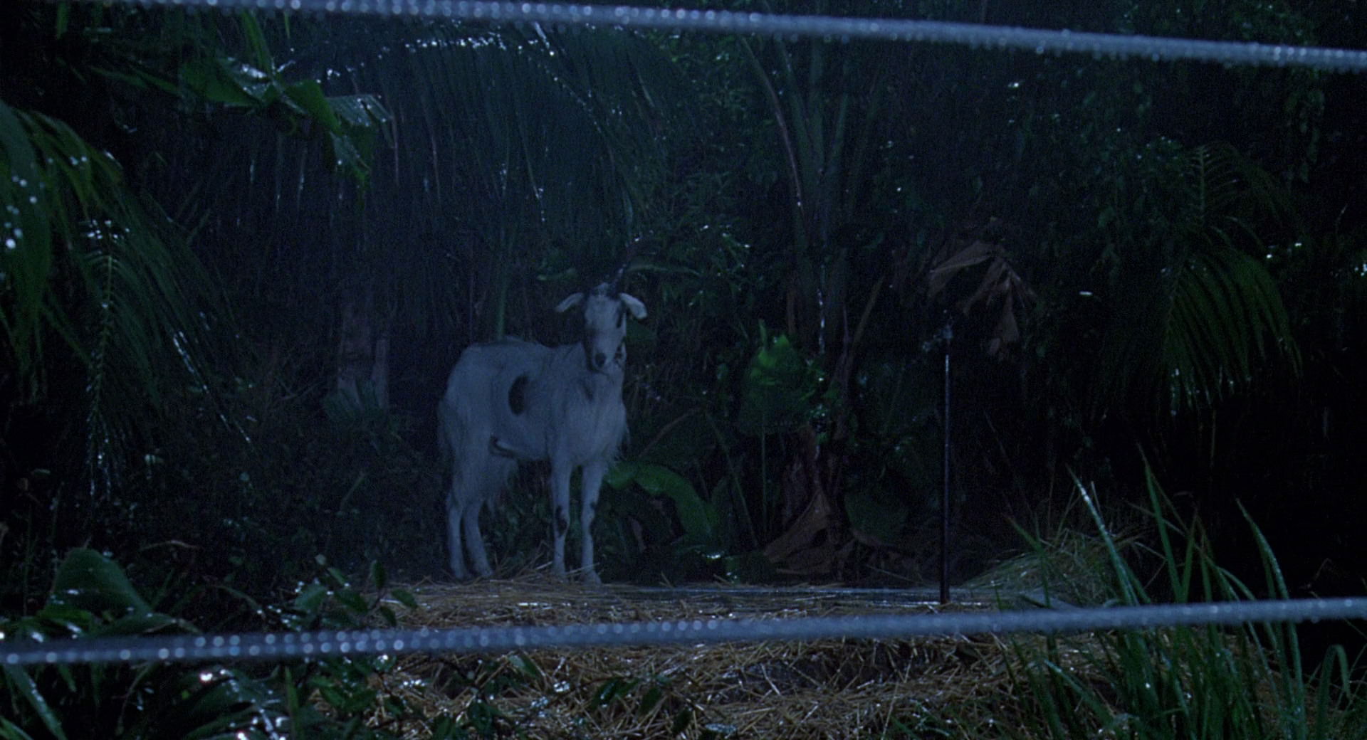 Prop Store - Ultimate Movie Collectables