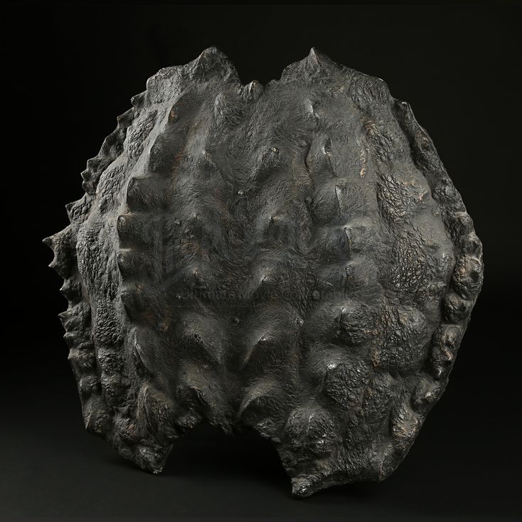 Perseus (Sam Worthington) Chitin Shield | CLASH OF THE TITANS (2010)