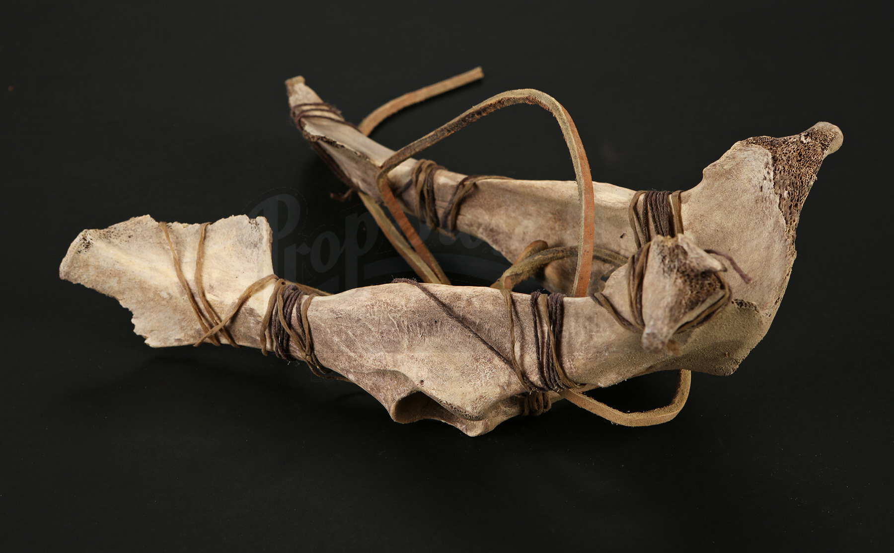 Burial Site Bone Decoration | Prop Store - Ultimate Movie Collectables