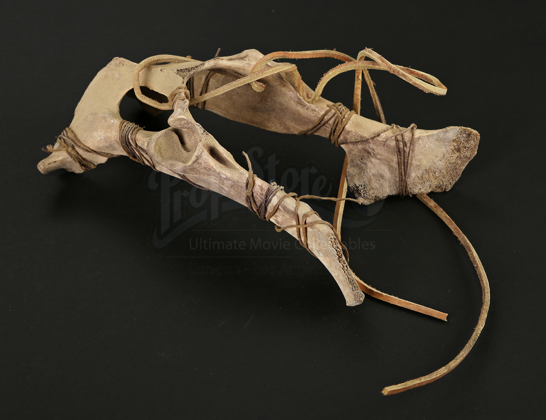 Burial Site Bone Decoration | Prop Store - Ultimate Movie Collectables