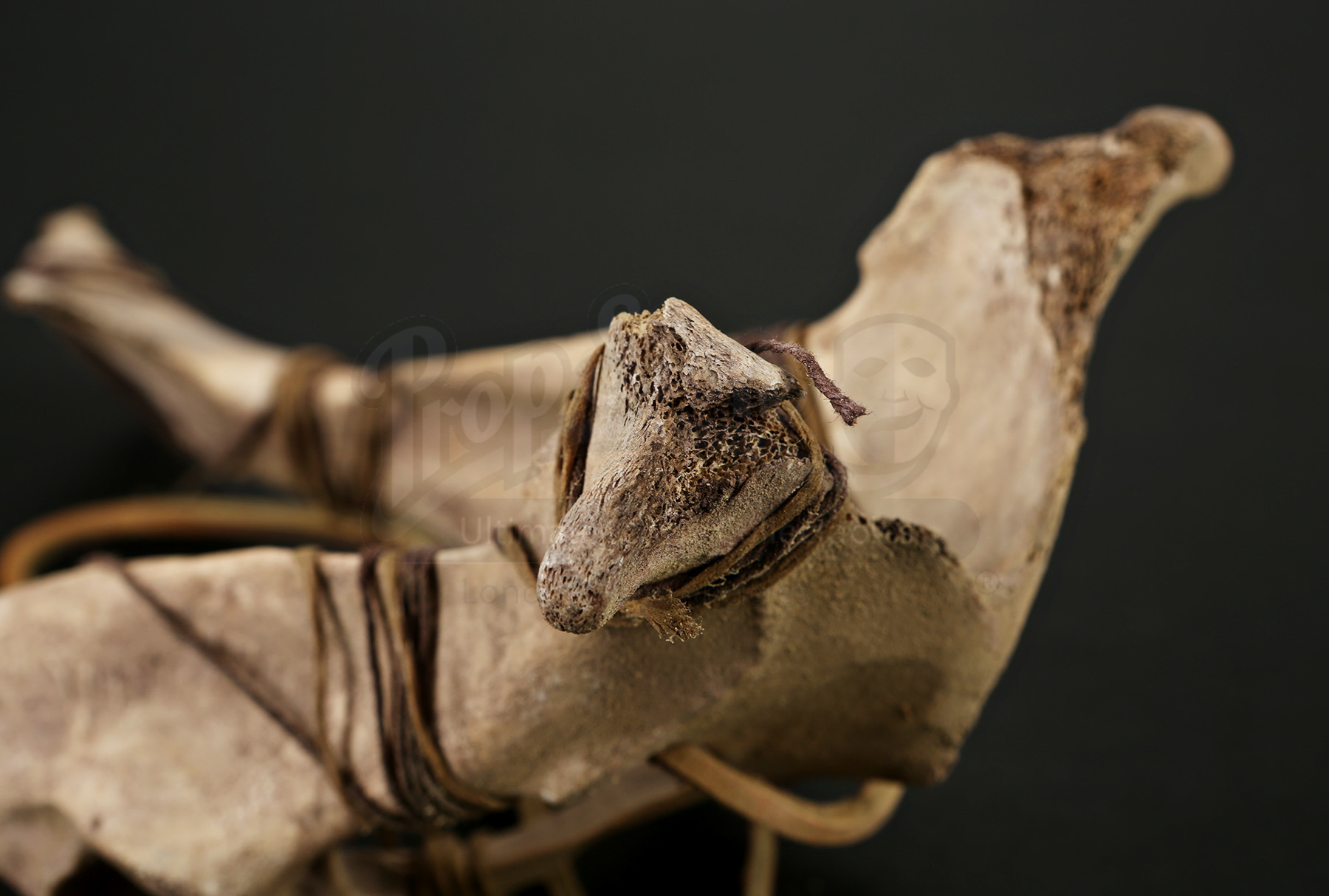 Burial Site Bone Decoration | Prop Store - Ultimate Movie Collectables