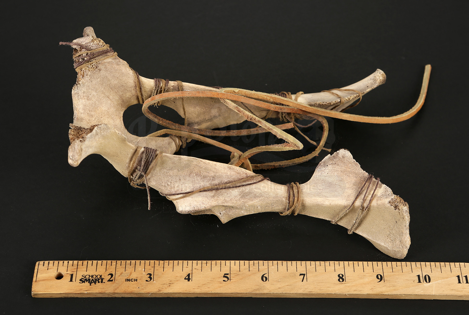 Burial Site Bone Decoration | Prop Store - Ultimate Movie Collectables