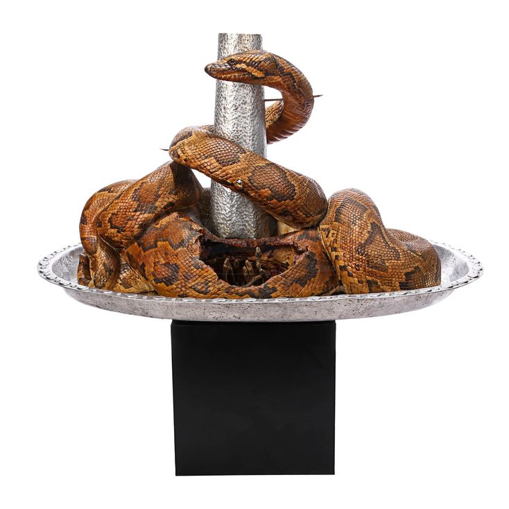 SFX Banquet Snake Platter | INDIANA JONES AND THE TEMPLE OF DOOM (1984)