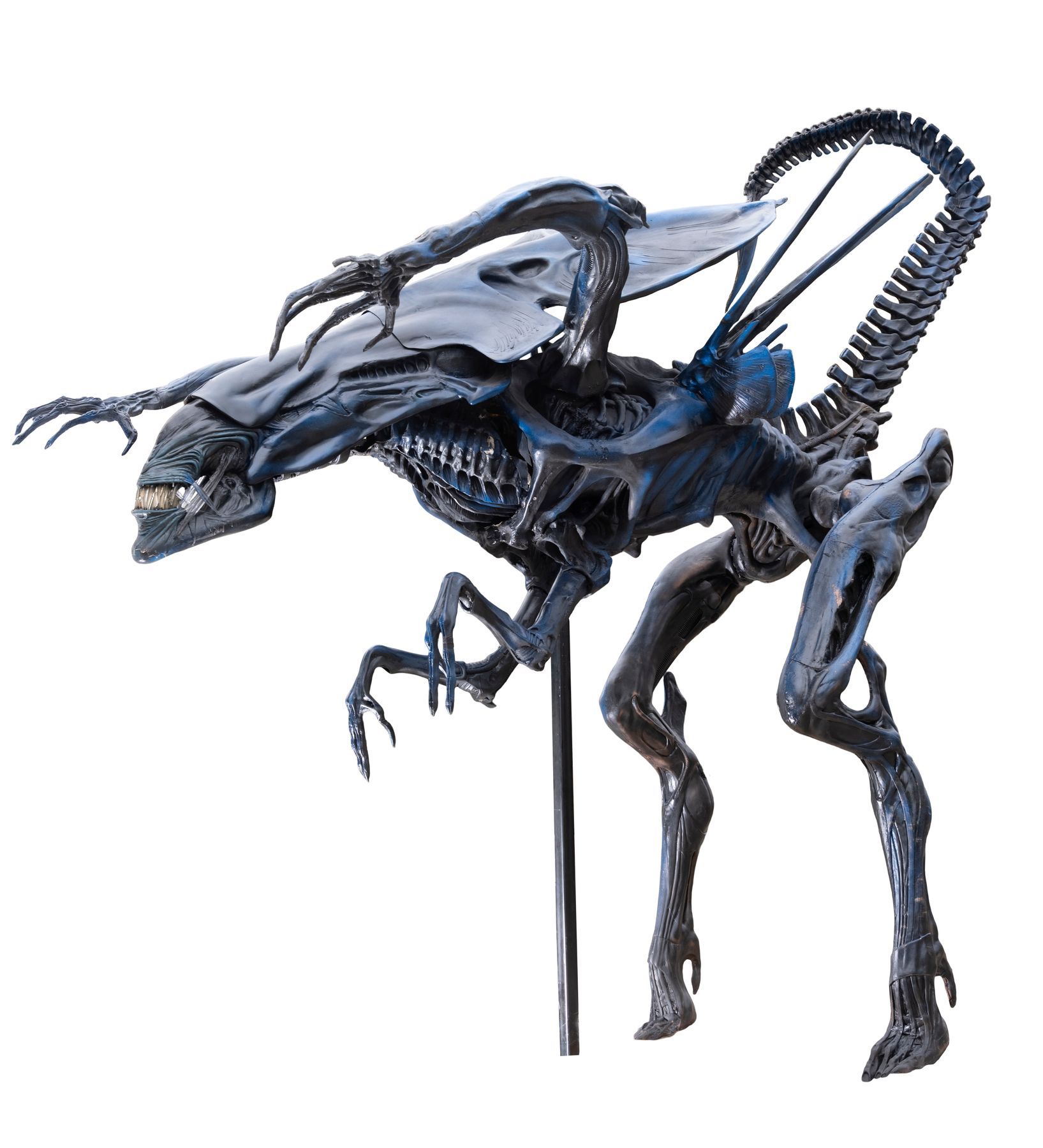 24. Life-Size Xenomorph Queen Replica with Lineage to Original Molds ...