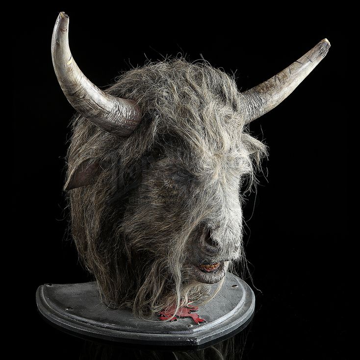 Asterius (Shane Rangi) Test Head | CHRONICLES OF NARNIA, THE: THE LION ...