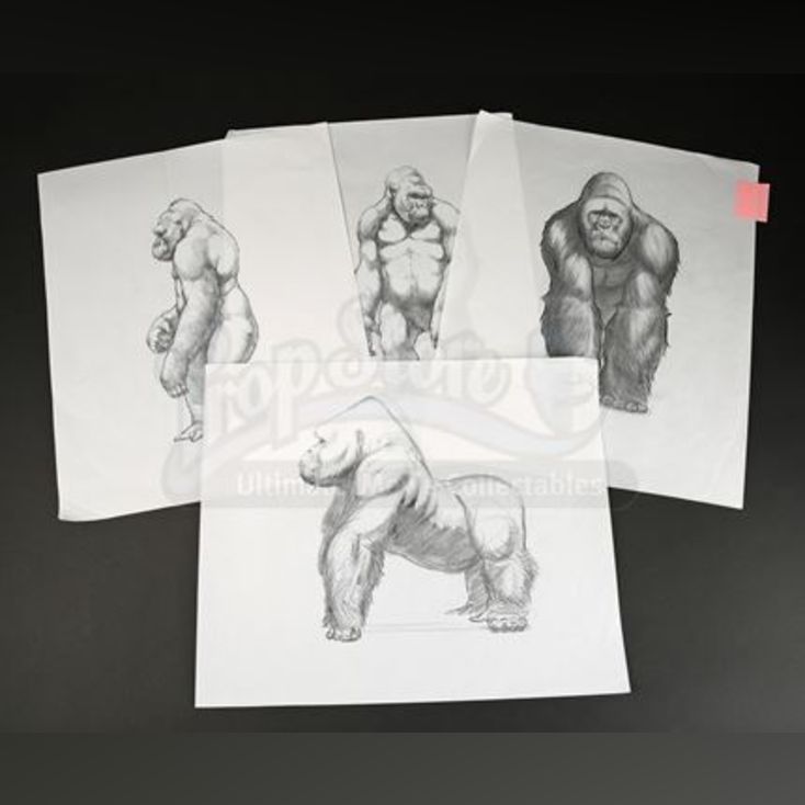 Collection of Hand-Drawn Joe Artwork | MIGHTY JOE YOUNG (1998)