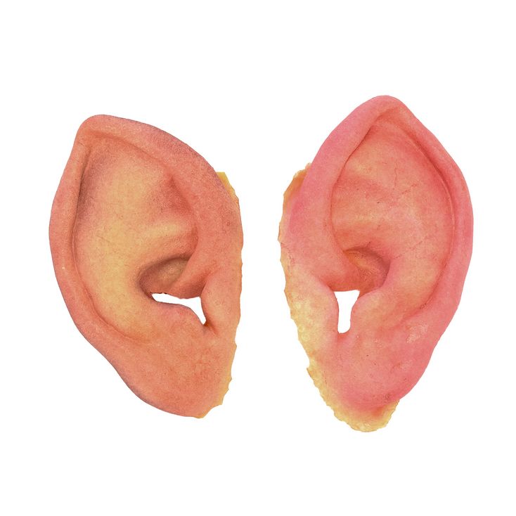 Lot 272 - Frodos (Elijah Wood) Hobbit Ears | LORD OF THE RINGS, THE ...