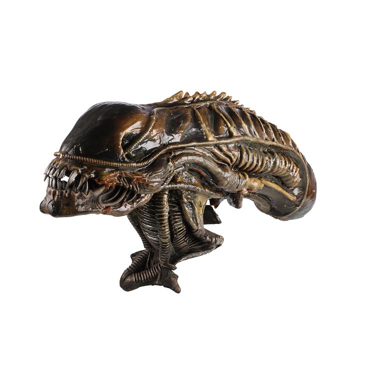 Lot #7: ALIENS (1986) - Xenomorph Warrior Head