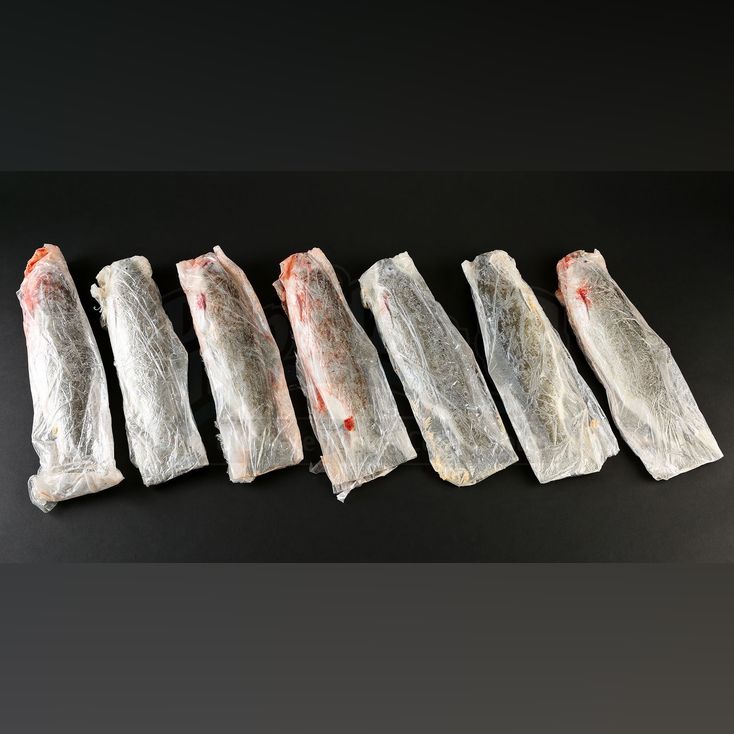 Will Grahams Frozen Fish Set | HANNIBAL (2013-2015)