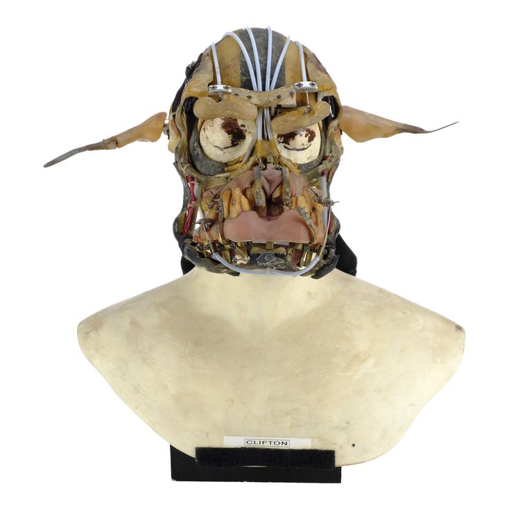 Lot 100 - Aknot the Mangalores (Clifton Bryan) Animatronic Underskull ...