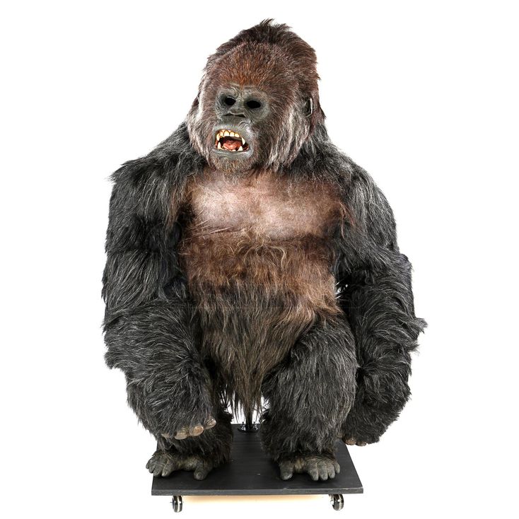 Lot 62 - Complete Shop Gorilla Costume Display | UNKNOWN PRODUCTION