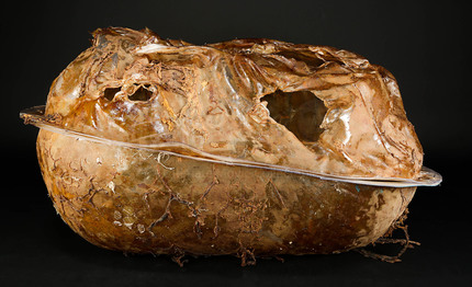 Alien Pod | Prop Store - Ultimate Movie Collectables