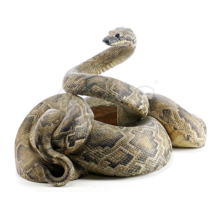 Snake Surprise Snake | INDIANA JONES AND THE TEMPLE OF DOOM (1984)