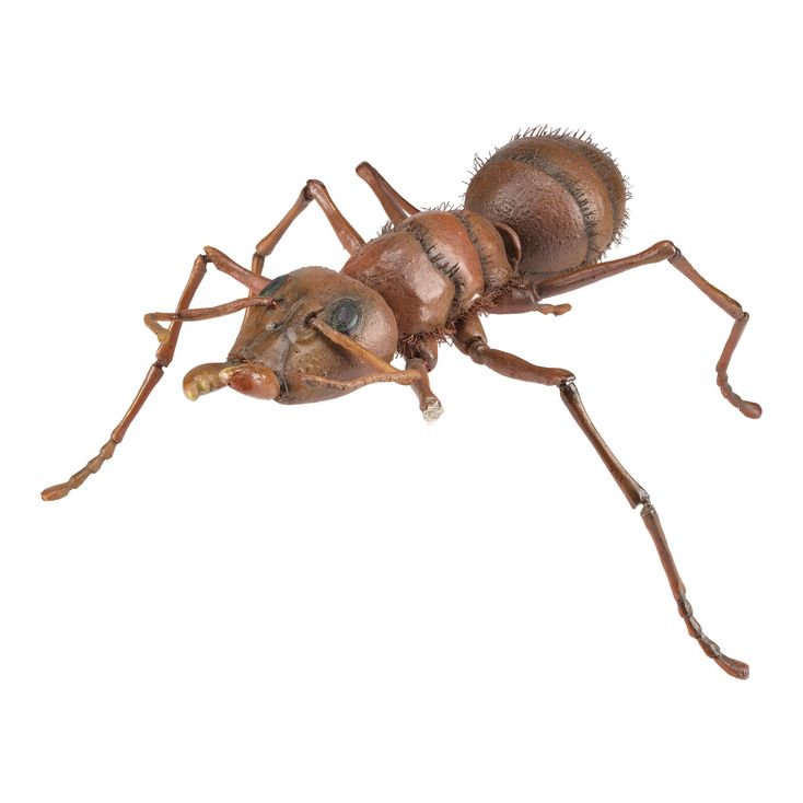 Lot # 966: HONEY, I SHRUNK THE KIDS (1989) - Antie Reference Model