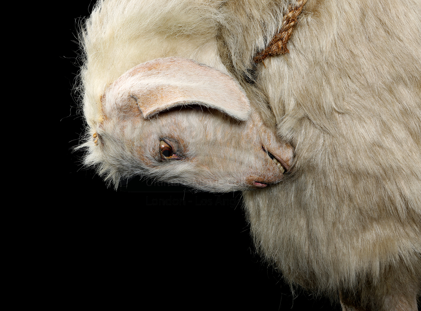 Animatronic Seance Goat | Prop Store - Ultimate Movie Collectables