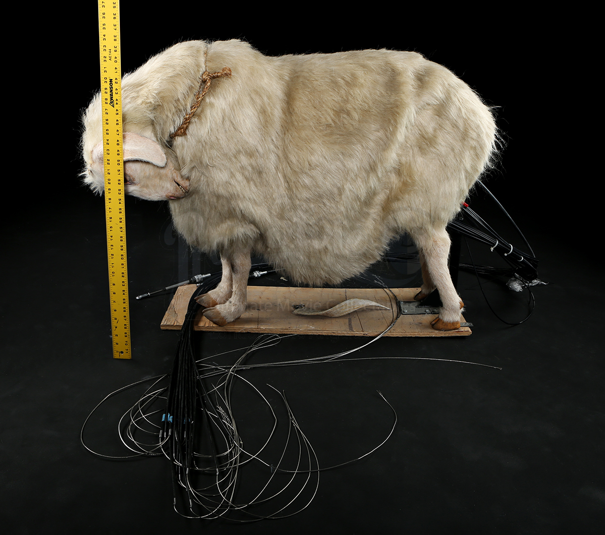 Animatronic Seance Goat | Prop Store - Ultimate Movie Collectables