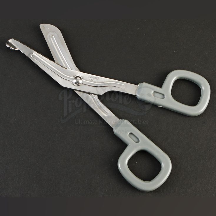 Food Preparation Scissors | EUROPA REPORT (2013)