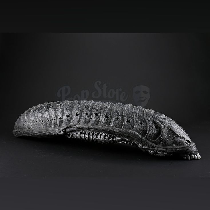 Rubber Xenomorph Head Component | AVP: ALIEN VS. PREDATOR (2004)