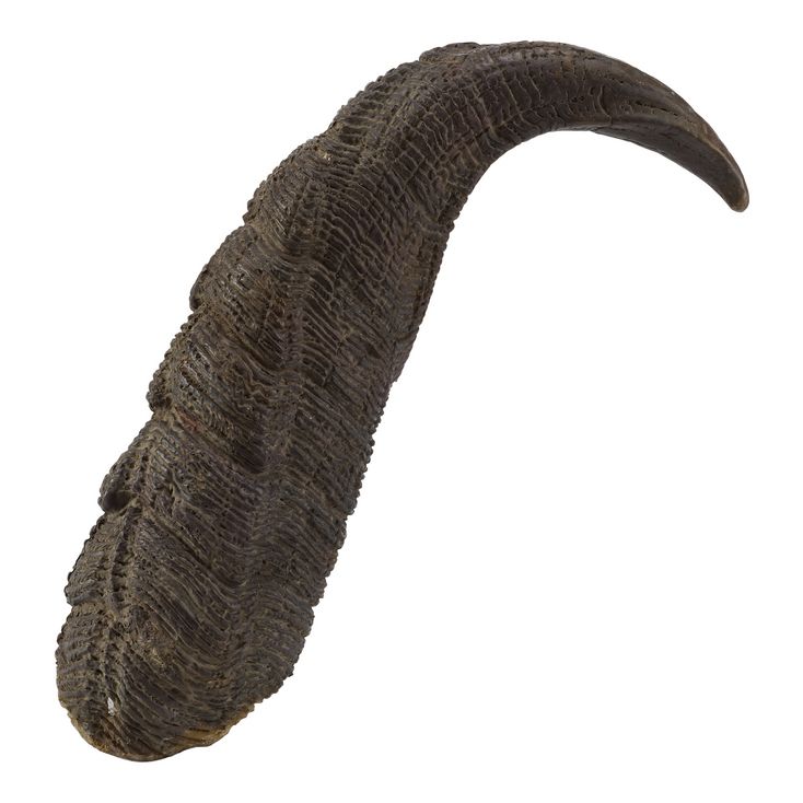 Lot # 198: LABYRINTH (1986) - Ludo's (Ron Mueck) Horn