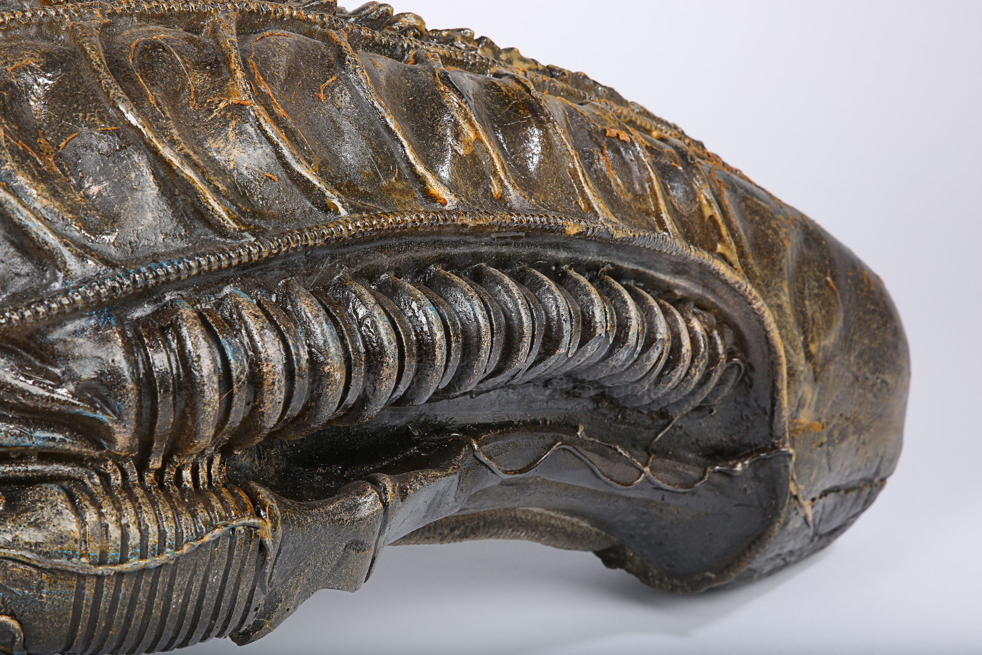 Xenomorph Alien Movie Model Skull Resin Heteromorphosis REVIEW: Hot ...