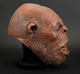 Bearded Ogre Head | Prop Store - Ultimate Movie Collectables