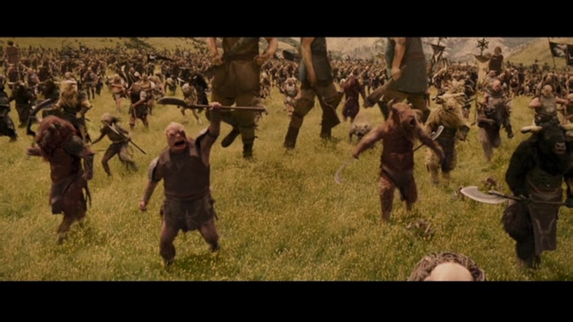 Bearded Ogre Head | Prop Store - Ultimate Movie Collectables